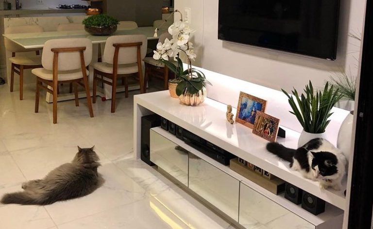 Decoração para Rack: 80 Modelos, Fotos e Ideias para você se inspirar!